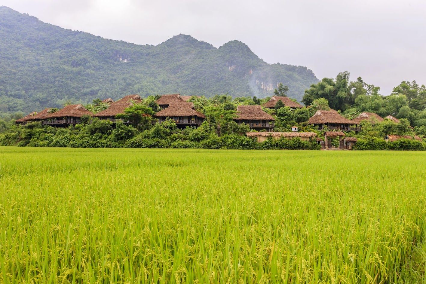 Explore Ban Muong Xanh Experience Tourism Area from A to Z | Vietjet Air