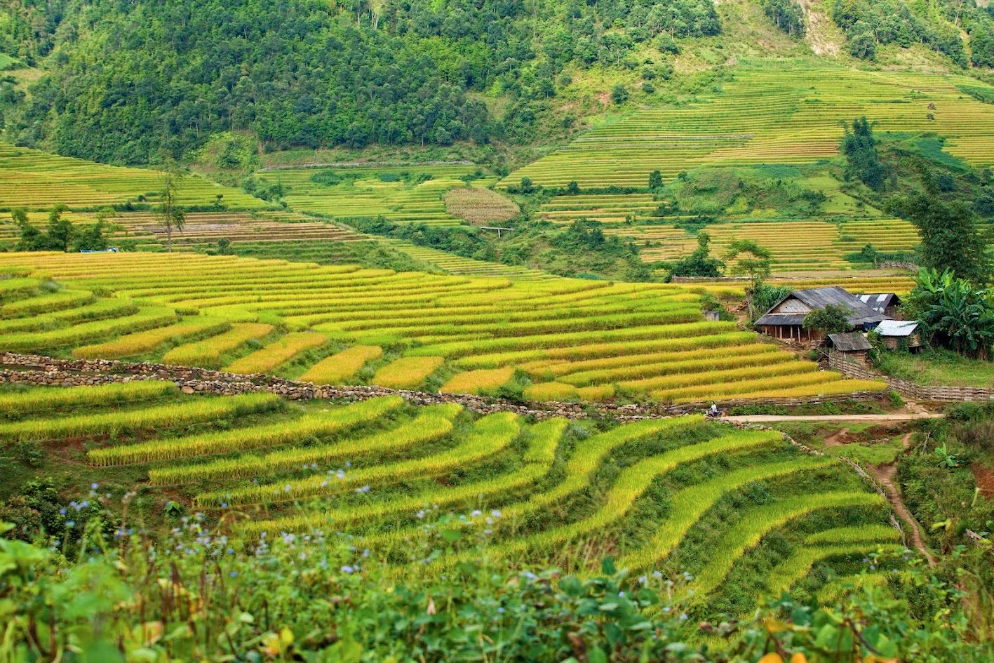 Explore Ban Muong Xanh Experience Tourism Area from A to Z | Vietjet Air